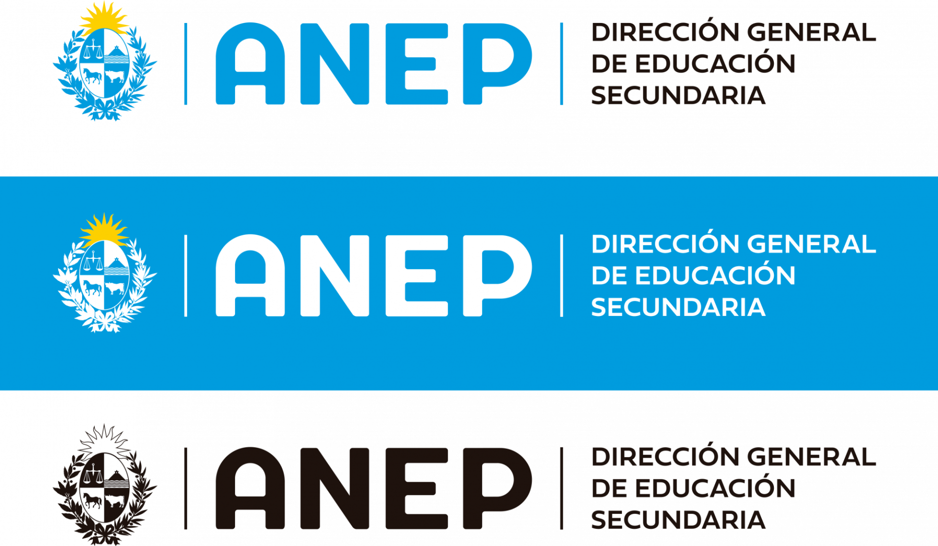 Inspección de Educación Física